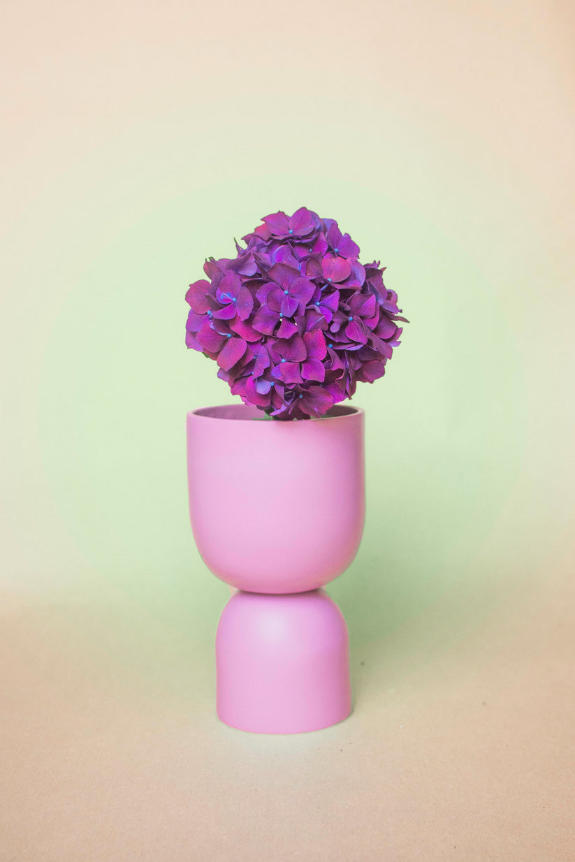 Gemini Mini Pot – Viridi