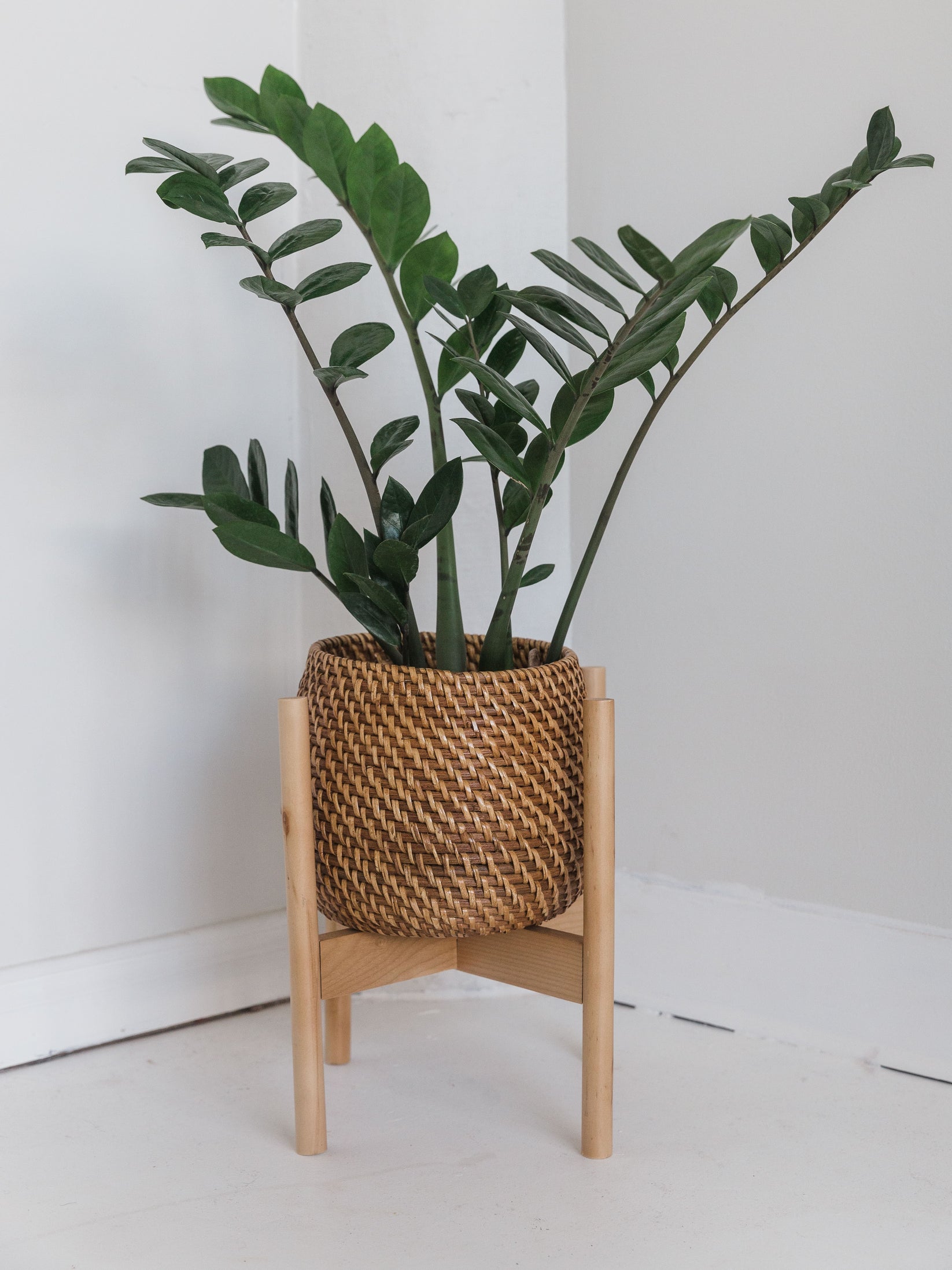 Olla 6.5" pot and 10" Juana plant stand combo // Viridi